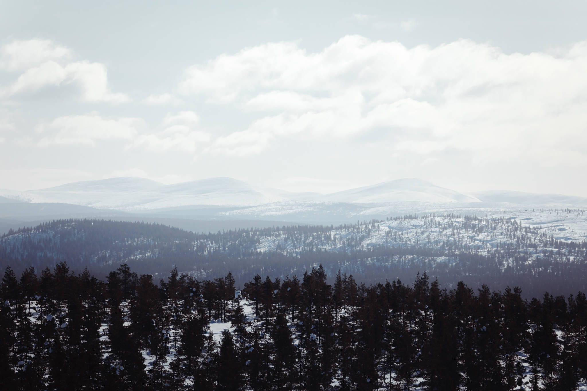 Kontakt | Kontaktieren Sie Unterkunft Kuukkeli